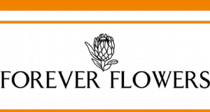 Forever Flowers | Exotic Australian Flowers | Altman Plants